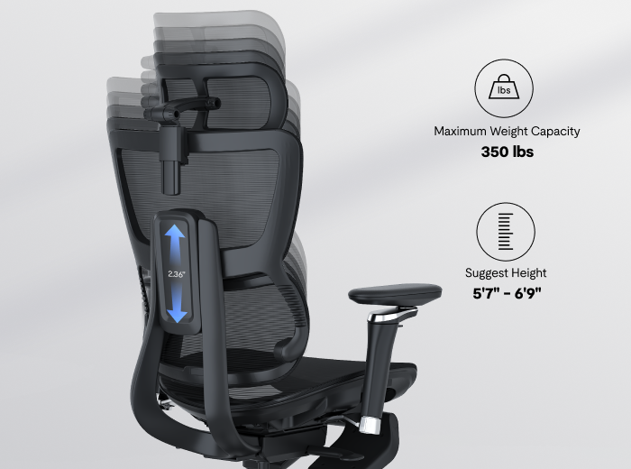 Professional Ergonomic Office Chair | Comfortable Chair C7M | Flexispot