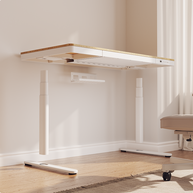 Product details ｜ Flexispot