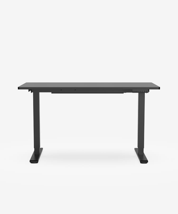 Electric Height Adjustable Standing Desk E1 FlexiSpot